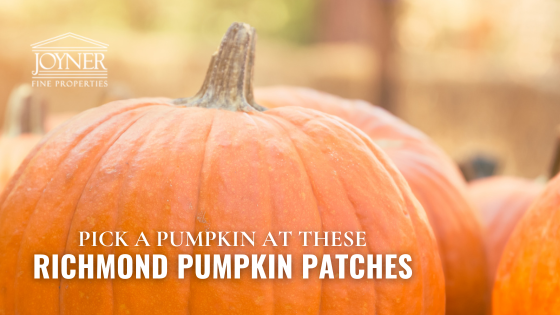 Pick a Pumpkin at these Richmond Pumpkin Patches | Joyner Fine Properties