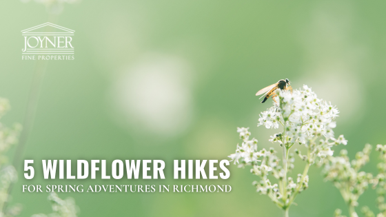 5 Wildflower Hikes for Spring Adventures in Richmond | Joyner Fine ...